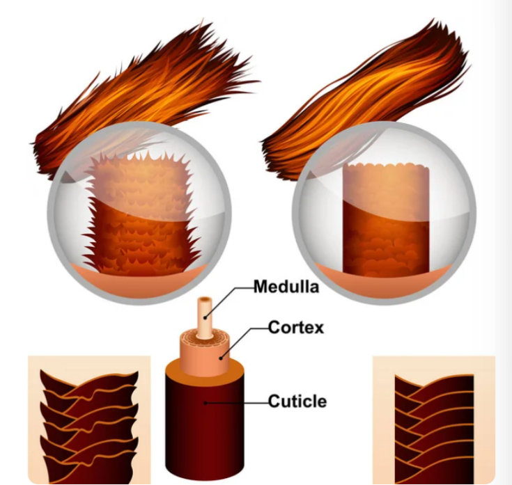 The most comprehensive tutorial on hair dyeing